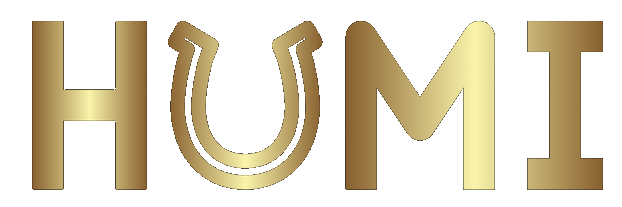 HUMI NETWORKS – AN ALTERNATIVE WAY OF PAYMENT